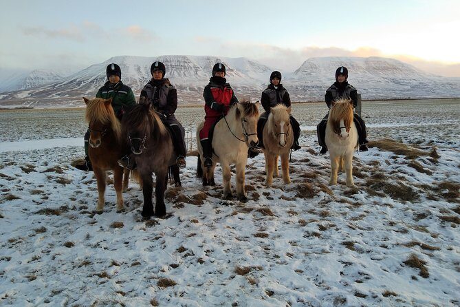 The Viking Horse Riding Experience in North Iceland - Frequently Asked Questions