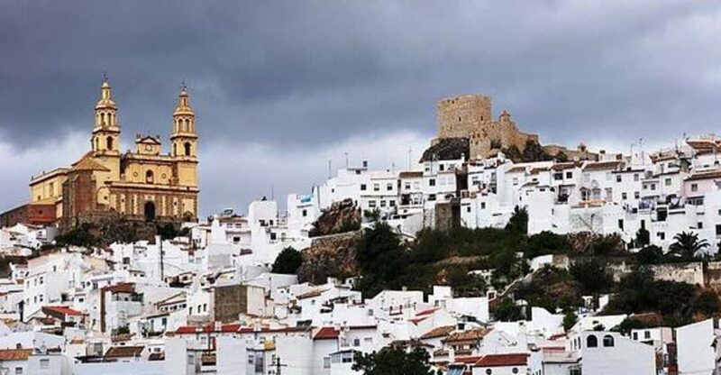 The Villages of Andalusia: Full-Day Trip from Seville - The Sum Up