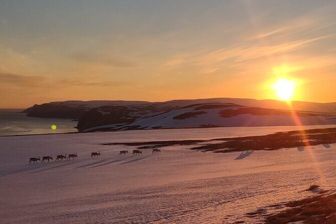 The VIP North Cape Tour - Real Travelers’ Experiences: What They Loved