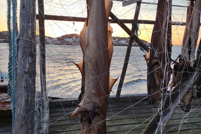 The VIP North Cape Tour - The Sum Up