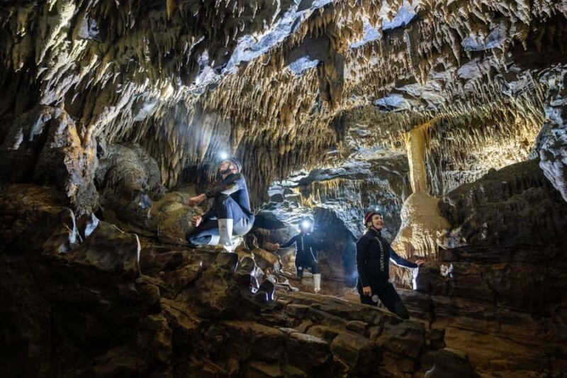 The Waitomo Experience : Okohua Glowworm Cave Tour - Guides and Sustainability