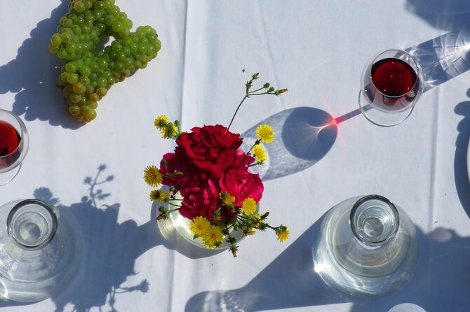 The wine route by bike - An Authentic Day in Romanian Wine Country