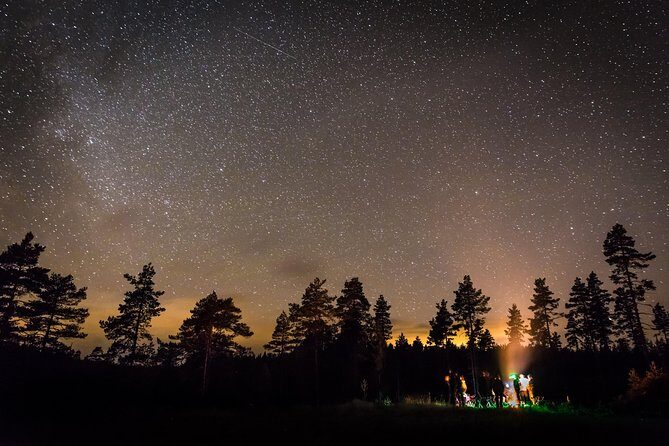 The Wolf Howl Experience - Authentic Experiences and Guest Feedback