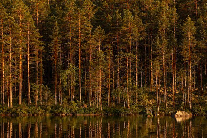 The Wolf Howl Experience - FAQ