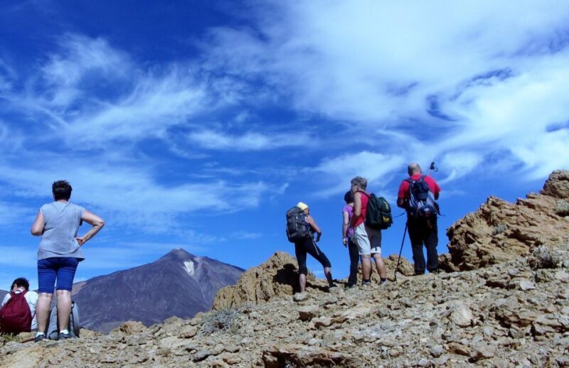 The Wow Factor Walk - Key Points