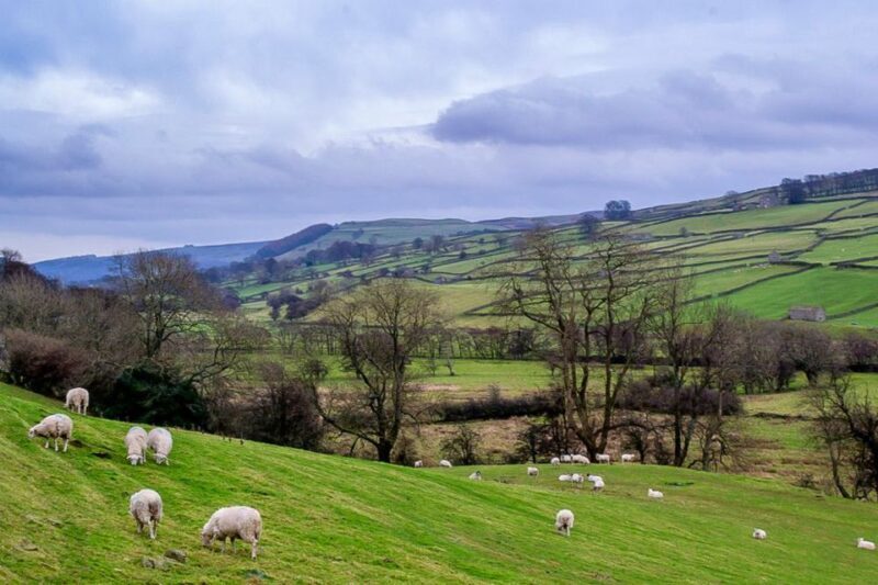 The Yorkshire Dales Tour from York - Key Points