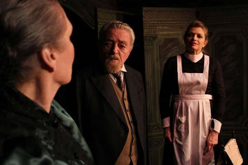 Theatre in Paris: The Bald Soprano (La cantatrice chauve) - Who Should Consider This Tour?