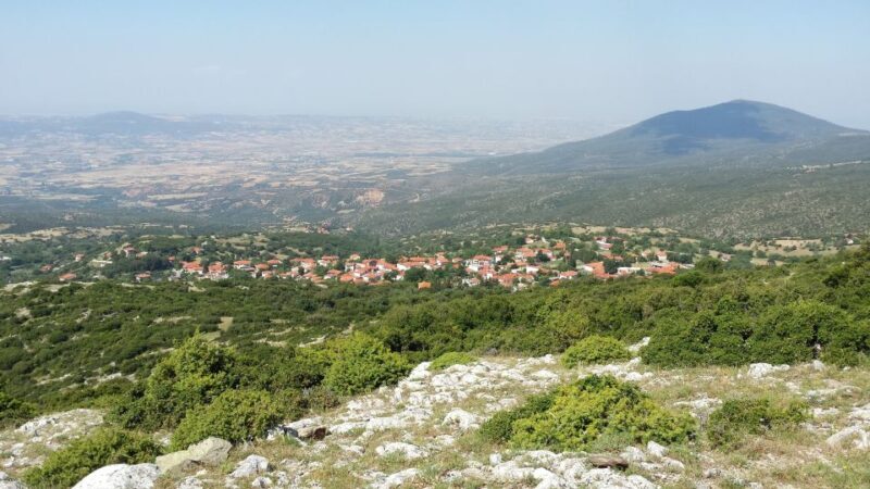 Thessaloniki: Private Mountain and Beaches SUV Safari - Who This Tour Is Best For