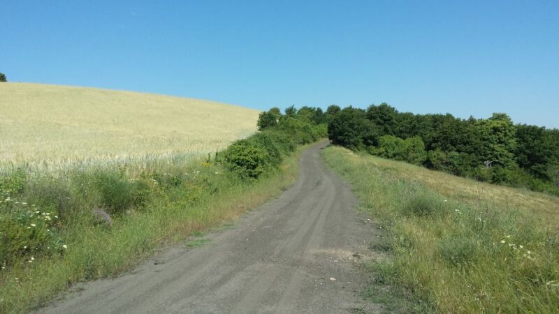 Thessaloniki: Private Mountain and Beaches SUV Safari - Final Thoughts