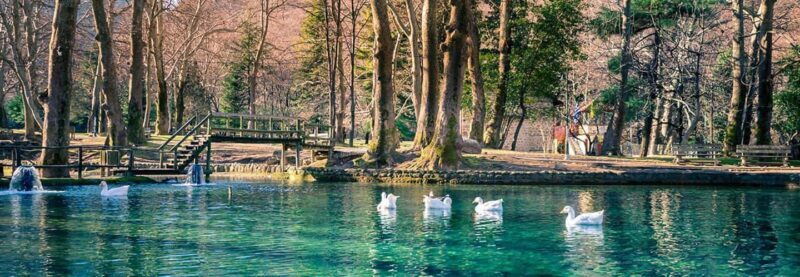 Thessaloniki: Vergina, Agios Nikolaos, and Edessa Full Day - Relaxing and Exploring at Agios Nikolaos Grove