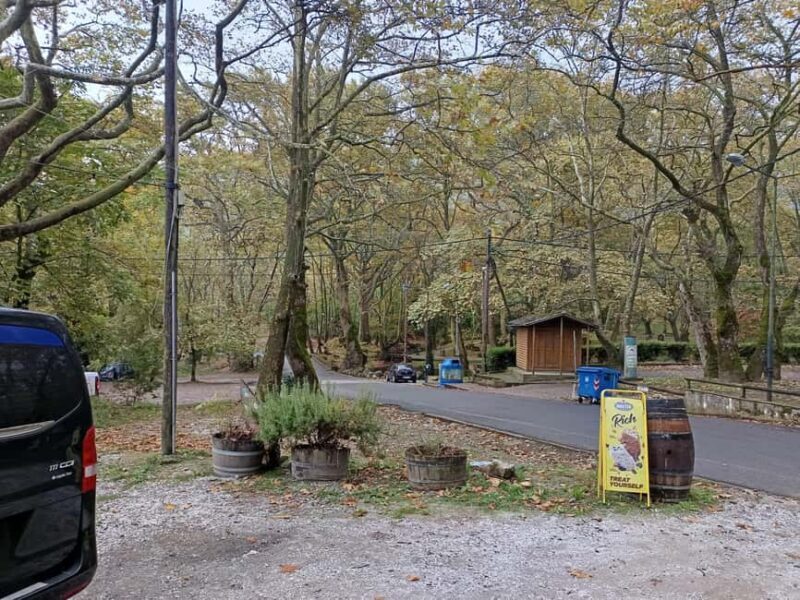 Thessaloniki: Vergina, Agios Nikolaos, and Edessa Full Day - Transport, Timing, and Practical Details