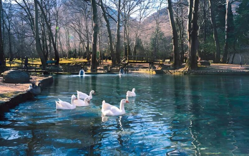 Thessaloniki: Vergina, Agios Nikolaos, and Edessa Full Day - Who Will Love This Tour?