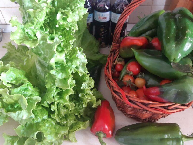 Thessaloniki:Greek Cooking Class and Meal at a Farm A - Frequently Asked Questions