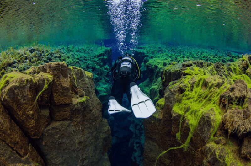 Thingvellir: Silfra Fissure Diving with Optional Pickup - FAQ