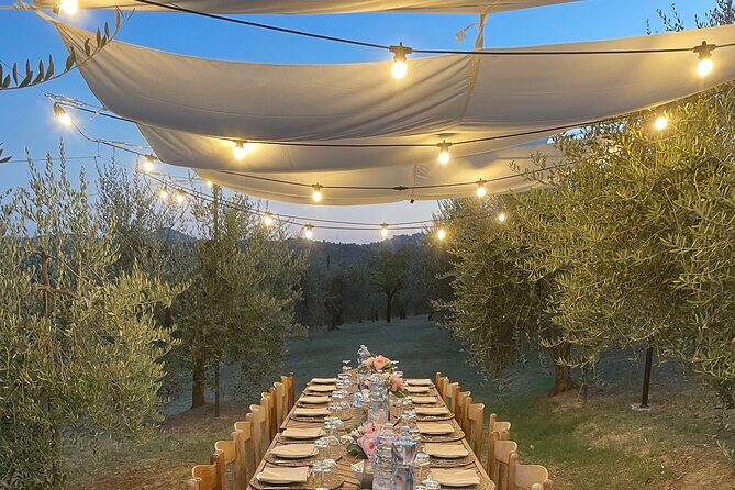 Think of a romantic meal in the Olive Trees shade, accompanied by Tuscan wines! - Practical Details & Tips