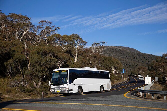 Thredbo or Perisher Bus Trip from Canberra - Who Is This Tour Best For?