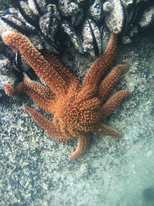 Three Day Classic - The Sum Up