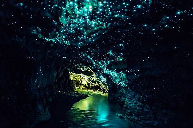 Three-Day Waitomo Caves Group Tour from Wellington - A Complete Overview of the Tour
