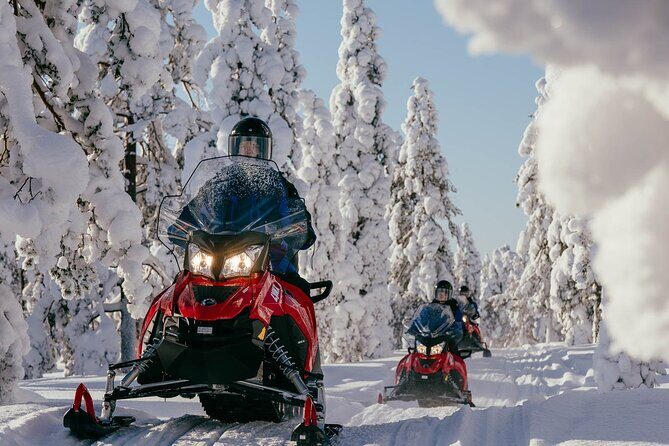 Thrill of Snowmobiling for Adults Only - A Deeper Look into the Snowmobiling Experience