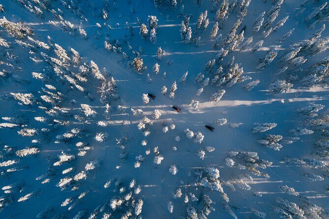 Thrill of Snowmobiling for Adults Only - Frequently Asked Questions