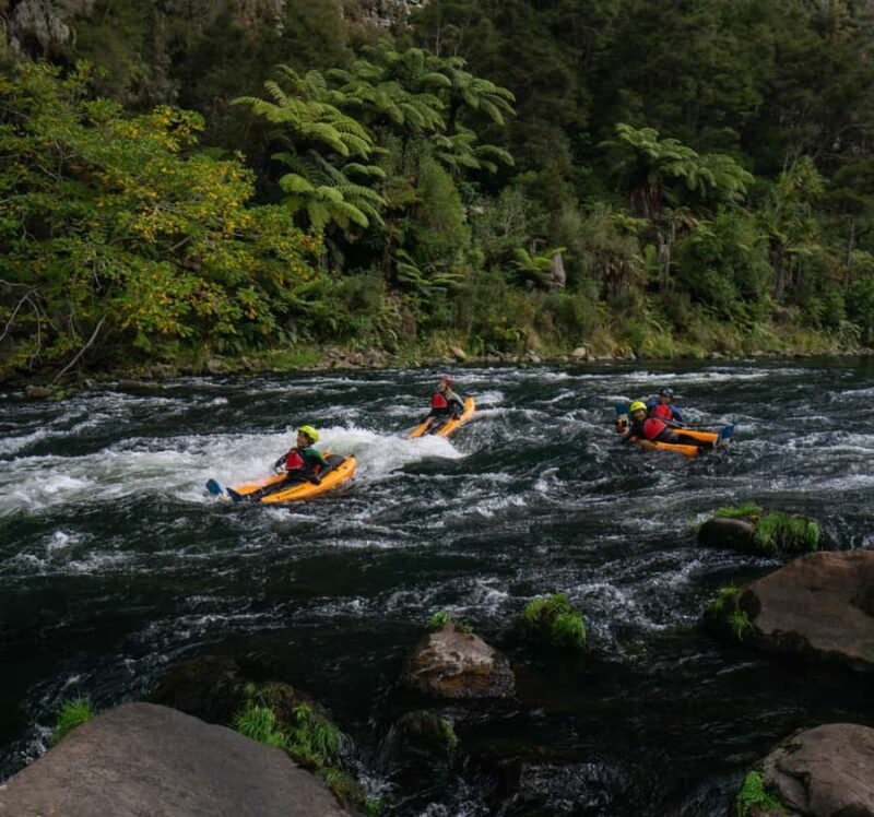 Thrilling Riverbug Adventure on the Rangitiki River - An In-Depth Look at the Riverbug Experience