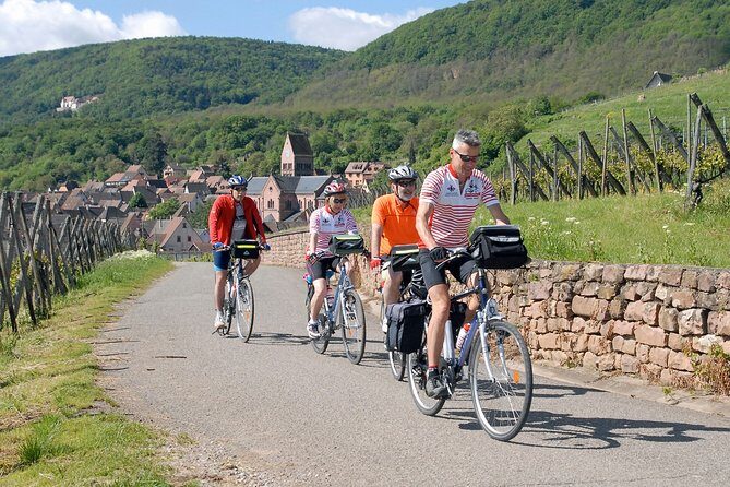 Through Alsace Vineyards and Wine Villages Private Bike Tour - Overview of the Alsace Vineyards and Wine Villages Bike Tour