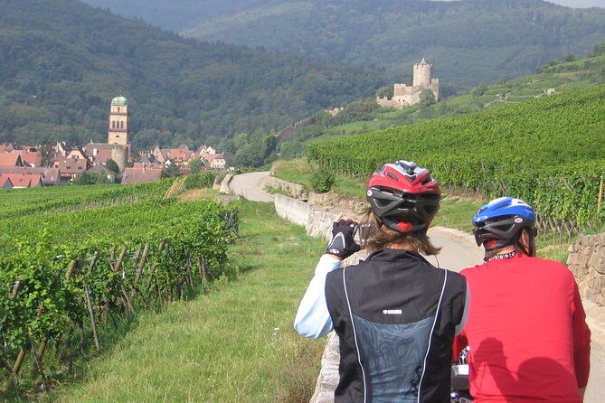 Through Alsace Vineyards and Wine Villages Private Bike Tour - What the Itinerary Looks Like