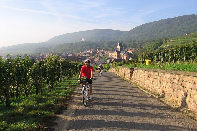 Through Alsace Vineyards and Wine Villages Private Bike Tour - Practical Details
