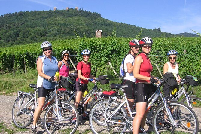 Through Alsace Vineyards and Wine Villages Private Bike Tour - Why You Should Consider This Tour
