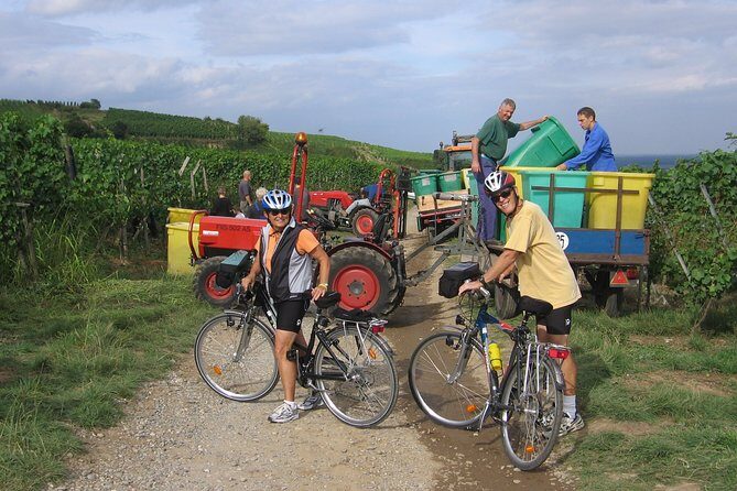 Through Alsace Vineyards and Wine Villages Private Bike Tour - Who Will Love It