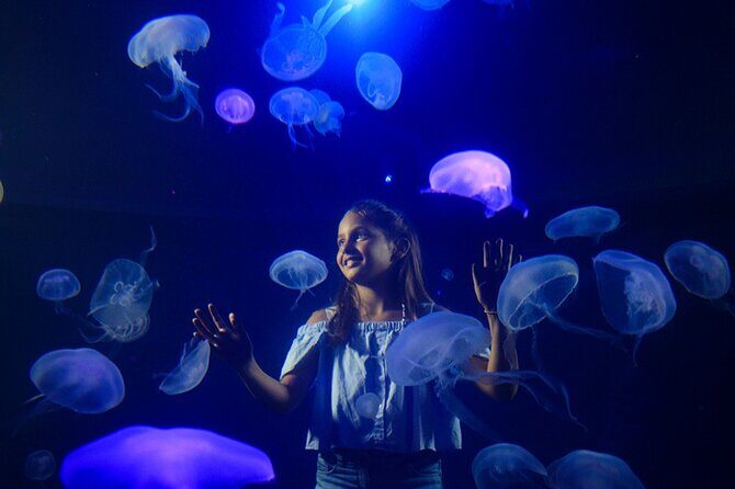 Ticket Palma Aquarium - FAQ