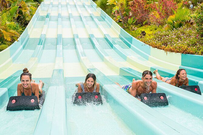 Ticket to Aqualand Tenerife - What to Expect from Your Aqualand Tenerife Visit