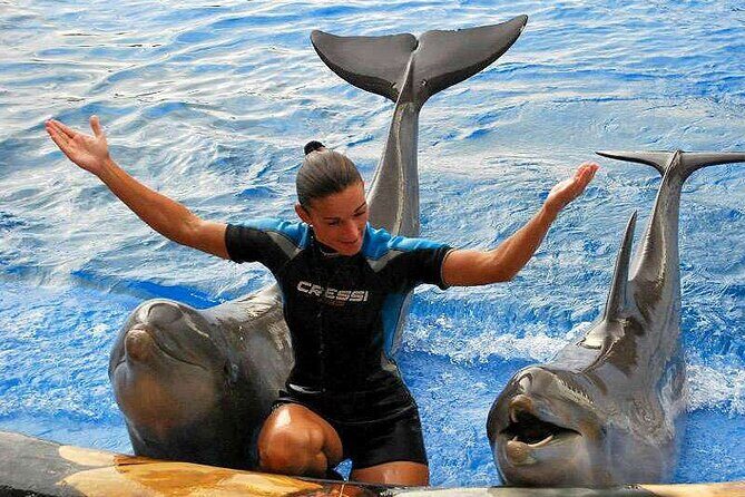 Ticket to Aqualand Tenerife - Who Will Love Aqualand Tenerife?