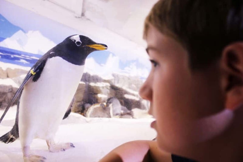 Ticket to SEA LIFE Konstanz - FAQ