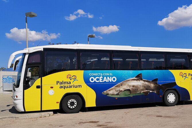 Ticket + Transfer to Palma Aquarium - Key Points