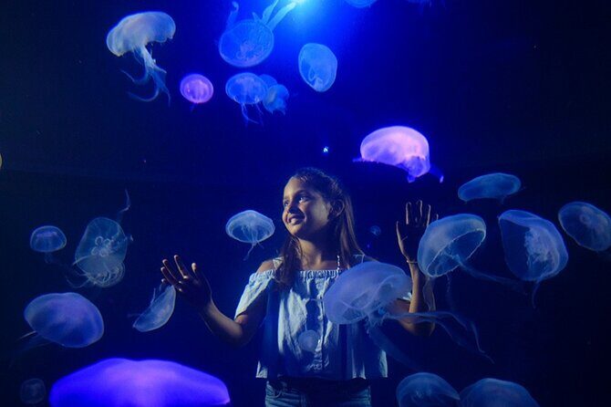 Ticket + Transfer to Palma Aquarium - Frequently Asked Questions