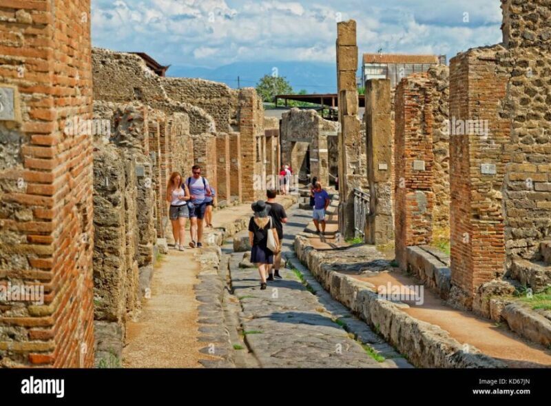 TICKET VESUVIUS SKIP THE LINE WITH SUPPORT ASSISTANCE - The Sum Up