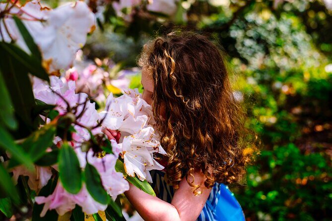 Tickets to Explore Ireland's Global Garden - Exploring Ireland’s Global Garden: A Detailed Review