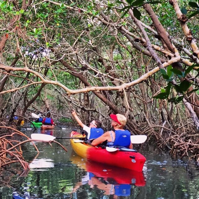 Tierra Verde FL: Coastal Kayaking Tour in Shell Key - An In-Depth Look at the Shell Key Kayaking Adventure