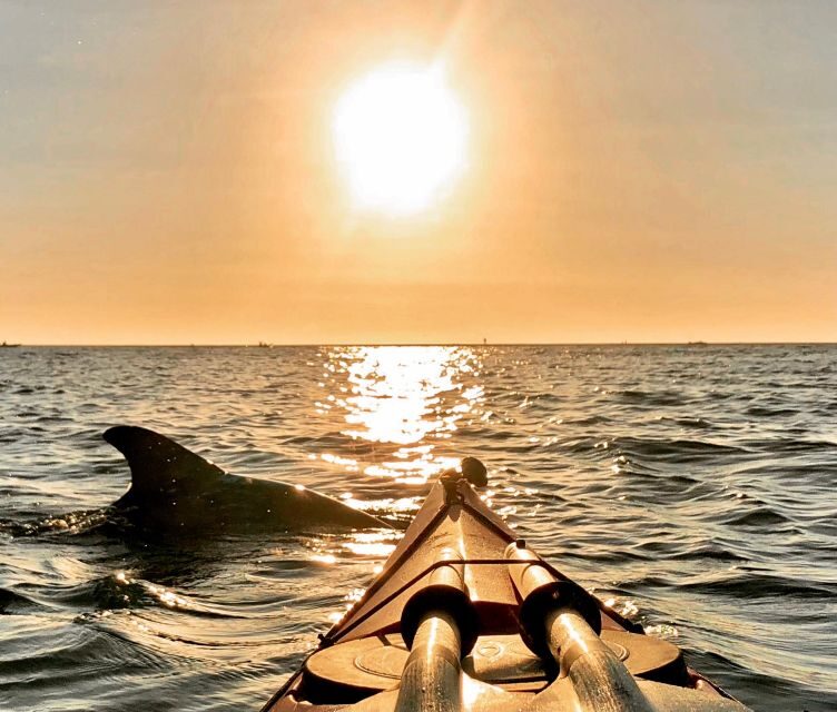 Tierra Verde FL: Coastal Kayaking Tour in Shell Key - The Sum Up