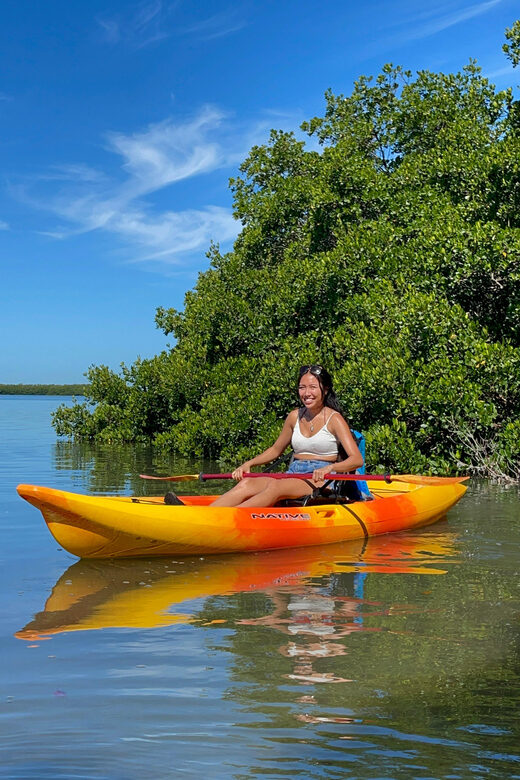Tierra Verde: Shell Key Mangrove Private Guided 1.5 hr Tour - Key Points