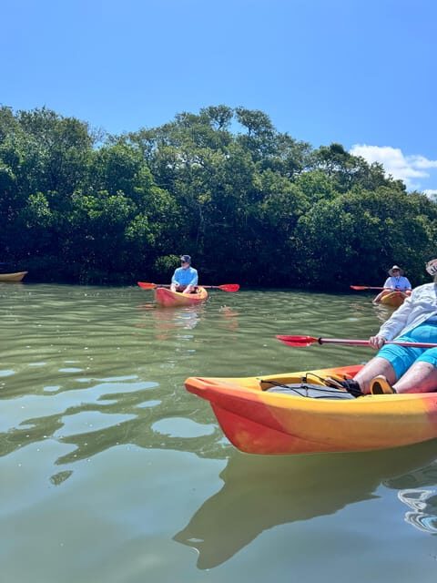 Tierra Verde: Shell Key Mangrove Private Guided 1.5 hr Tour - The Practical Side: Pricing, Duration, and What’s Included