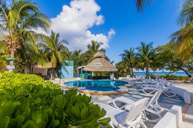 Tikinxic Barefoot Fish Guided Cookout Experience in Cozumel - Who Will Love This Experience?