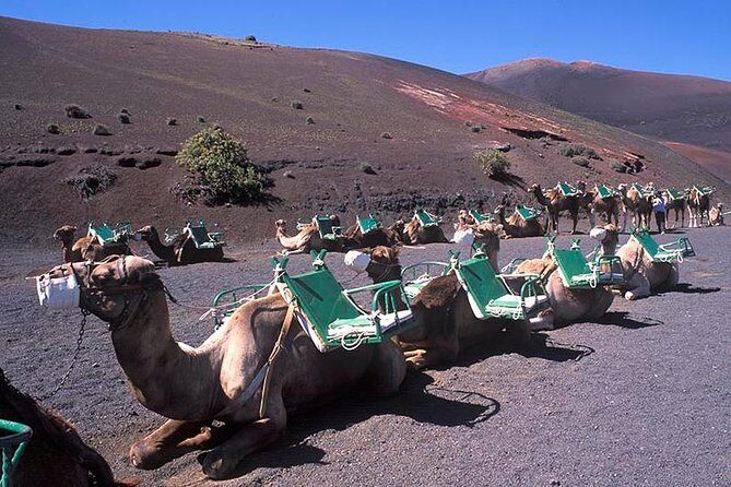 Timanfaya, Golfo, Jameos Agua & Camel Ride (opt) - Lanzarote - Final Thoughts