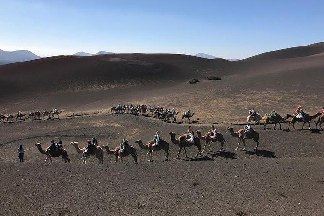 Timanfaya & Lanzarote Volcano Experience - The Route of the Volcanoes and Scenic Panoramas