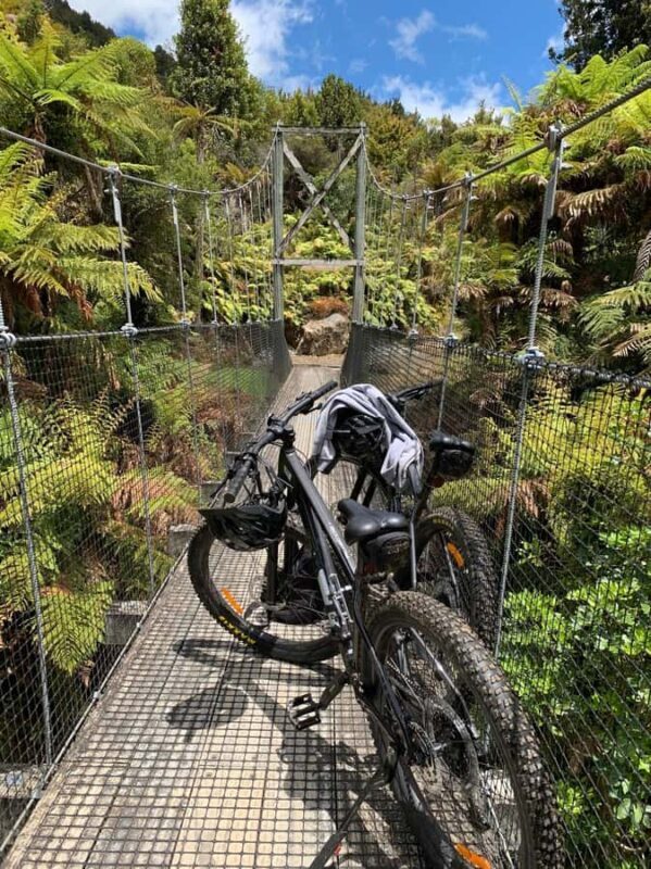 Timber Trail One Day Mountain Bike Ride - Shuttle Service - What We Love About This Experience  