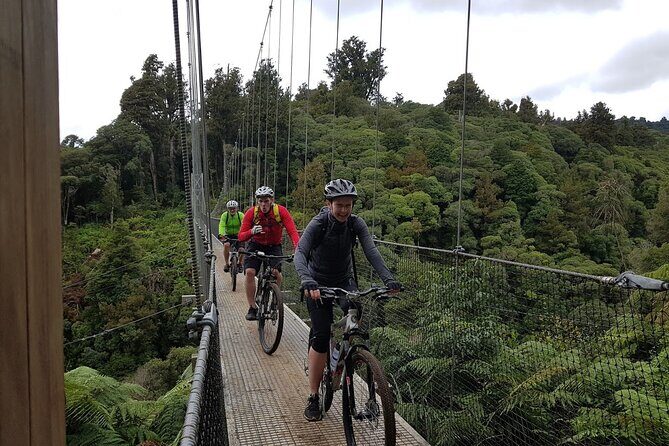 Timber Trail - Ongarue to Pureora Shuttle 2 Day Ride - Why Reviewers Keep Coming Back