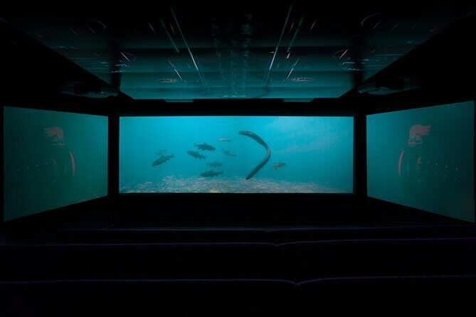 Time Tripper Queenstown - The Itinerary Breakdown