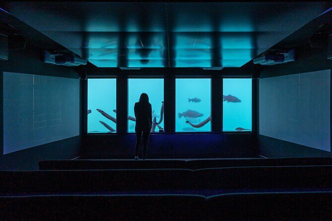 Time Tripper Queenstown - Practical Details & What to Expect