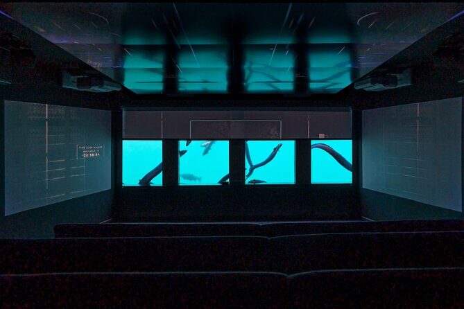 Time Tripper Queenstown - The Sum Up: Who Is This Tour Best For?